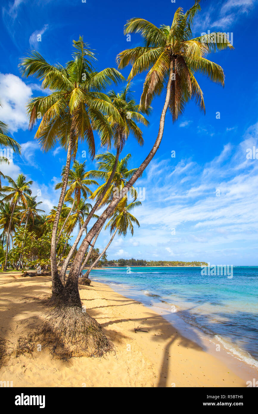 Dominican Republic, Samana Peninsula, Beach at Las Terrenas Stock Photo ...