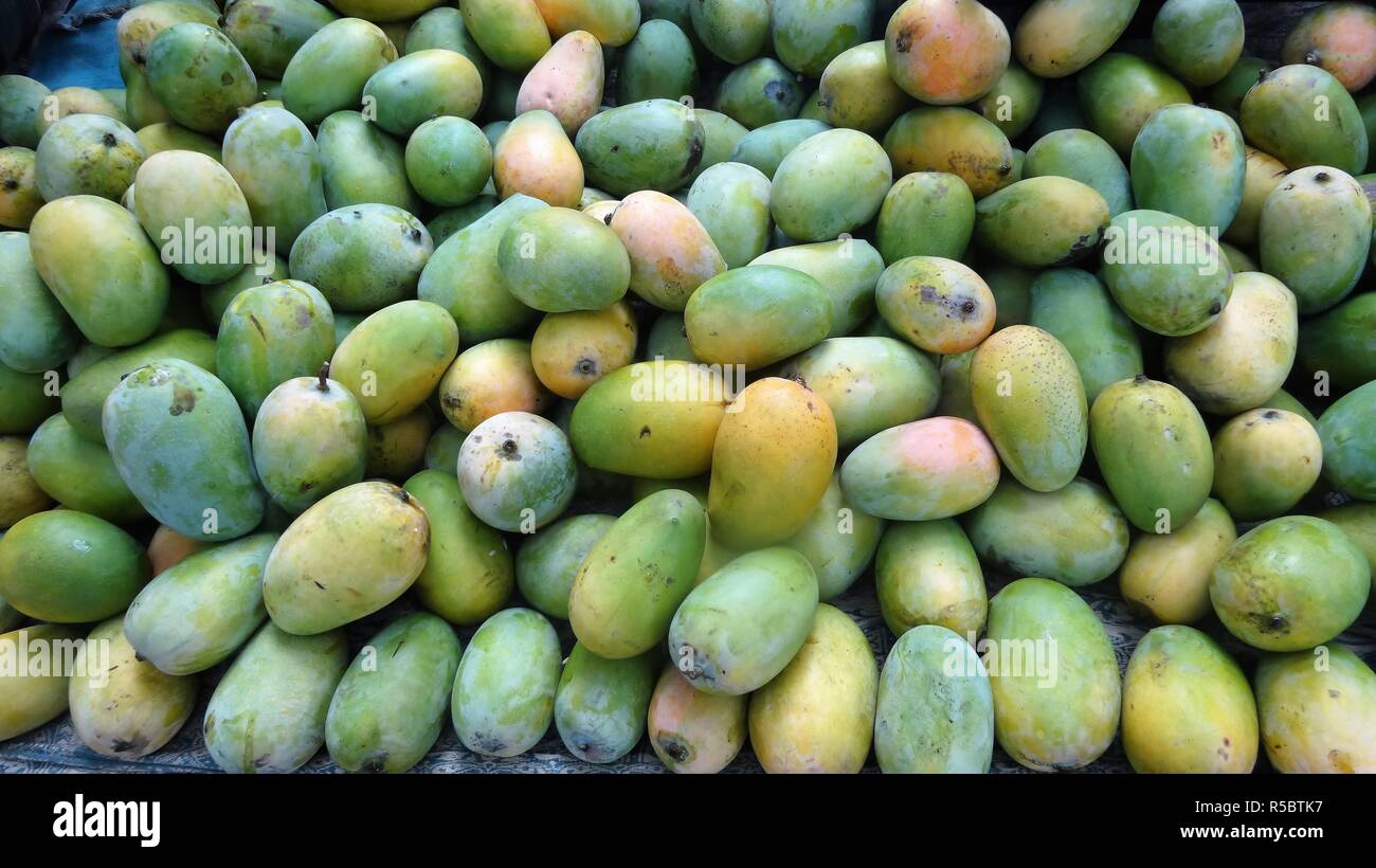 Kesar mango hi-res stock photography and images - Alamy