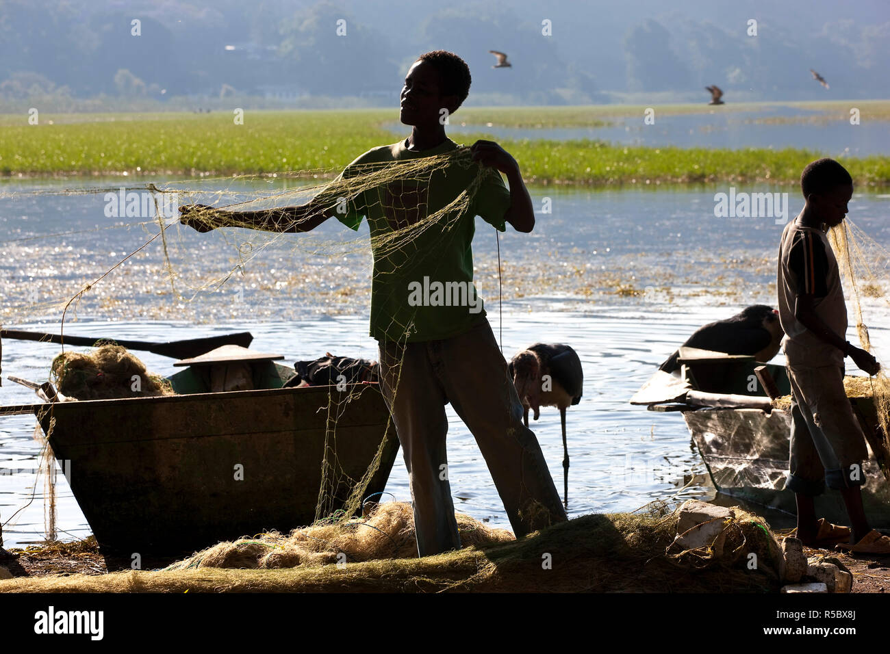 Amora Gedel fish market with Marabou storks, Awassa, Ethiopia Stock ...