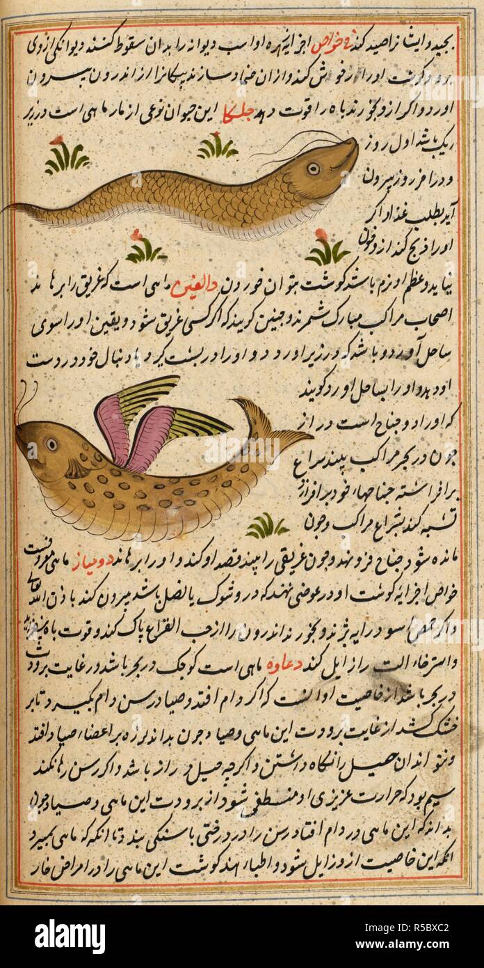Translation from arabic hi-res stock photography and images - Alamy