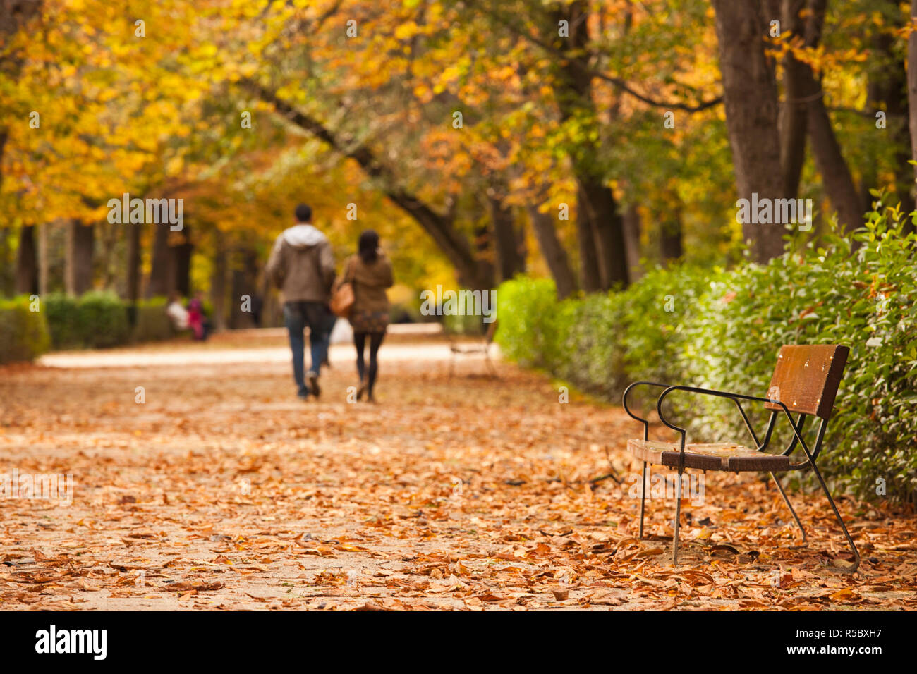 Spain, Madrid, Parque del Buen Retiro park, fall foliage Stock Photo ...