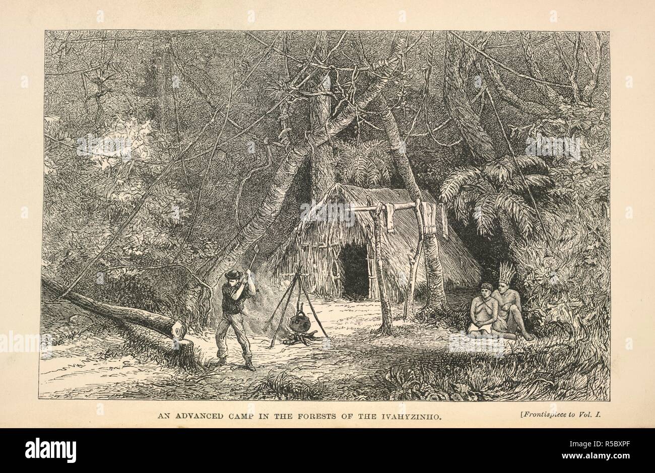 Camp in forest pioneering hi-res stock photography and images - Alamy