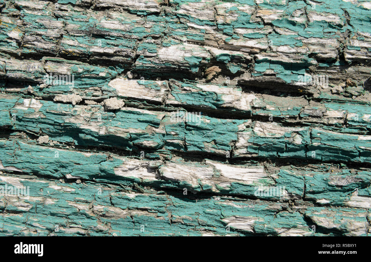 Texture of old green paint Stock Photo - Alamy