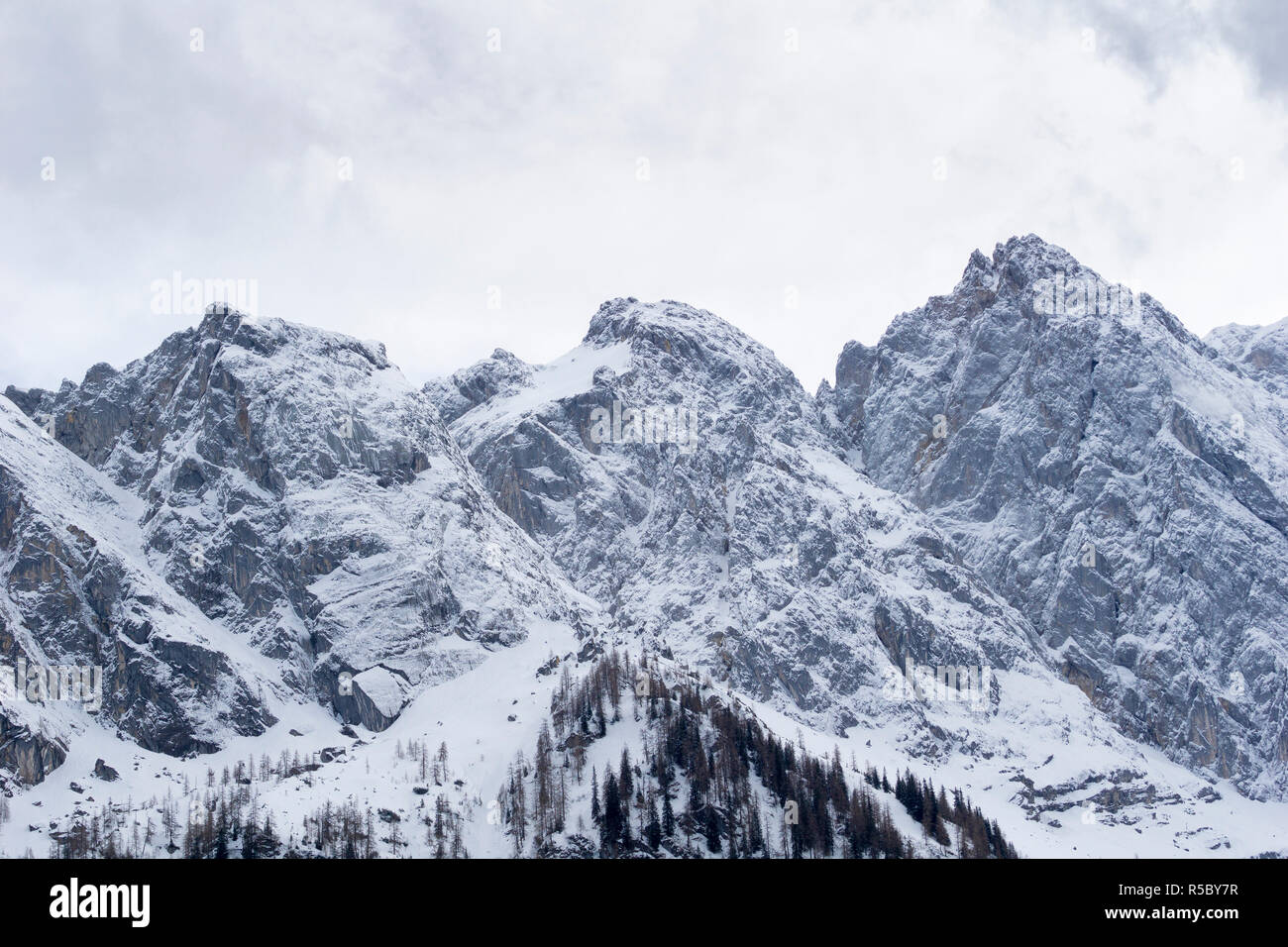 View of the Big Snow Capped Mountains of the Alps in Germany Stock ...