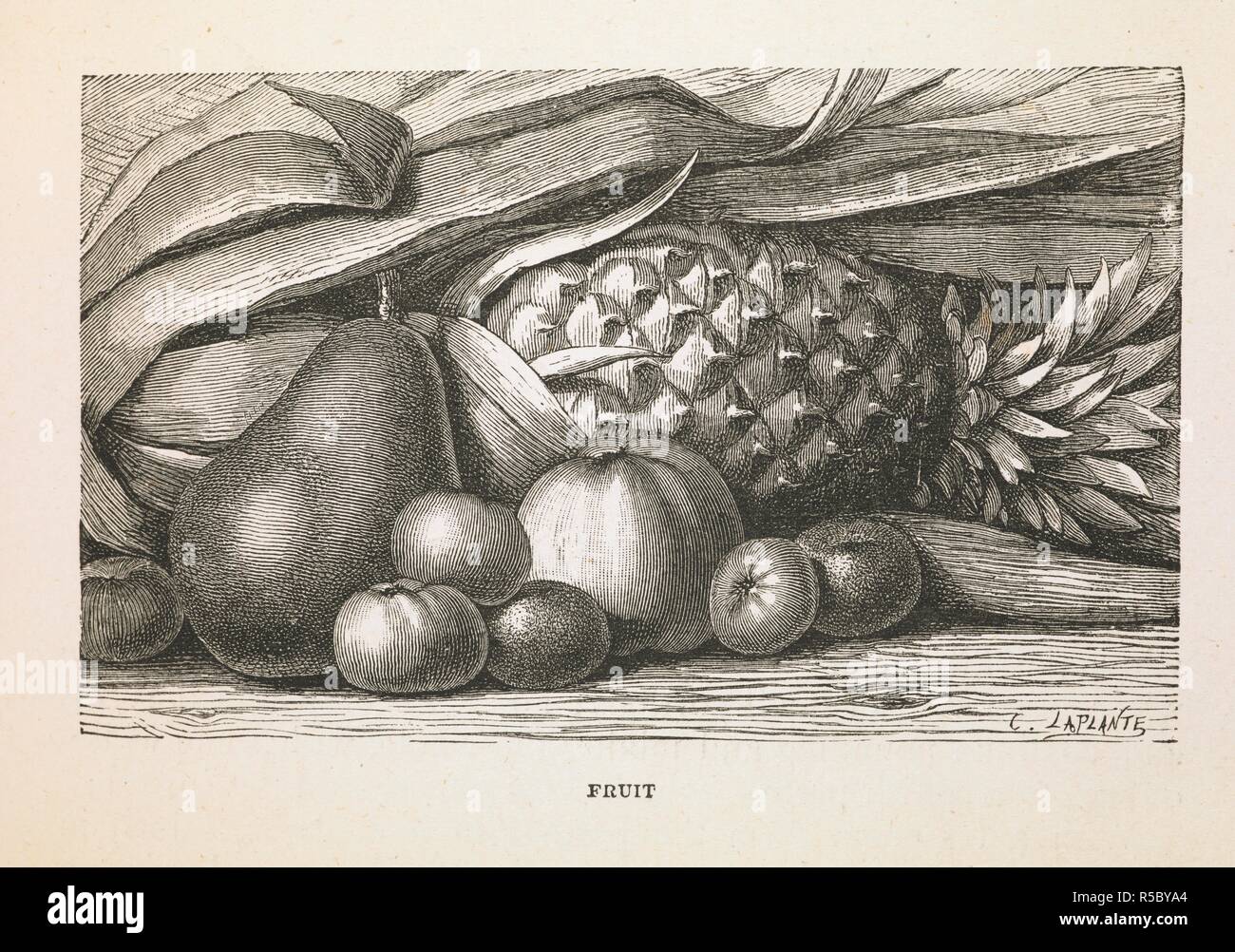 Margaret alice fairclough hi-res stock photography and images - Alamy