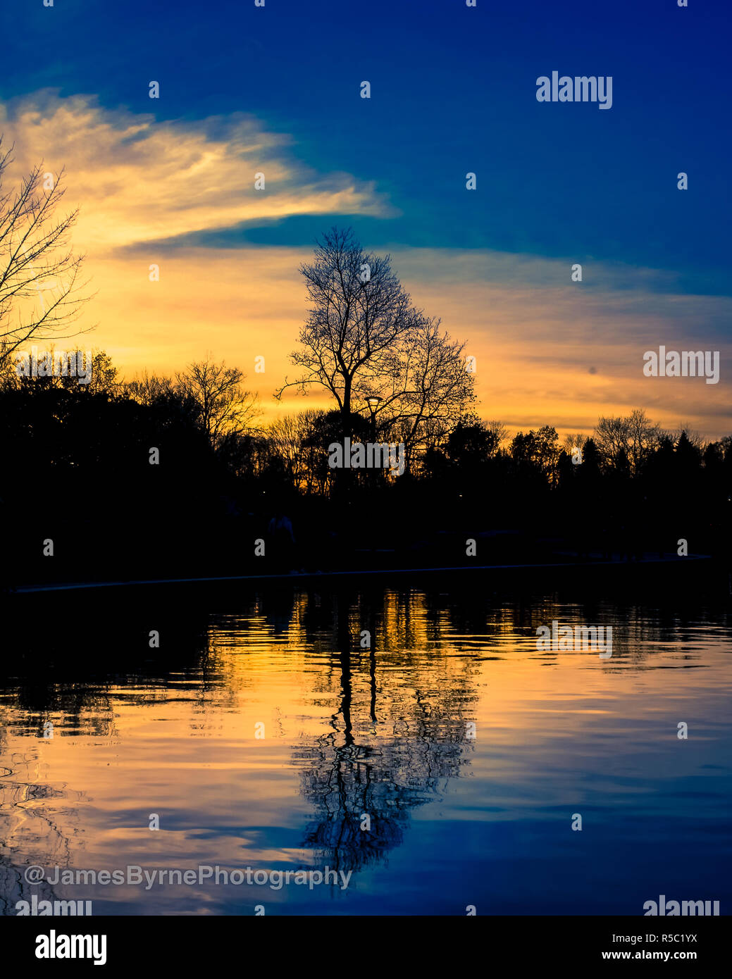 silhouette tree reflection during sunset Stock Photo - Alamy