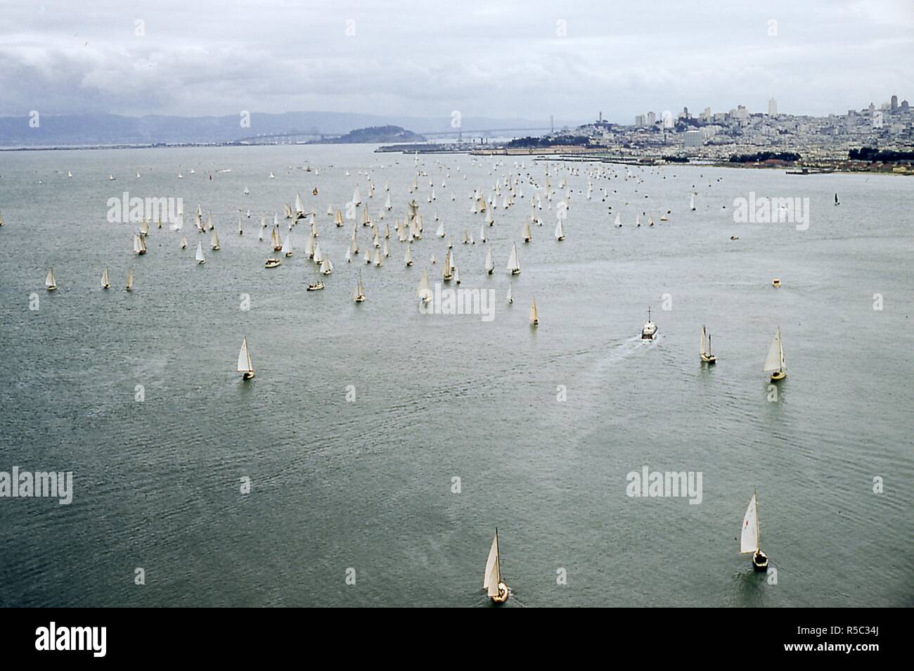 Opening day of the bay parade hi-res stock photography and images - Alamy