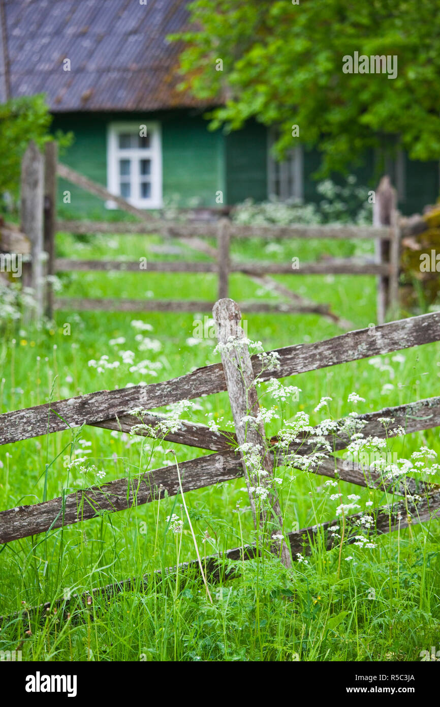 Muhu hi-res stock photography and images - Alamy