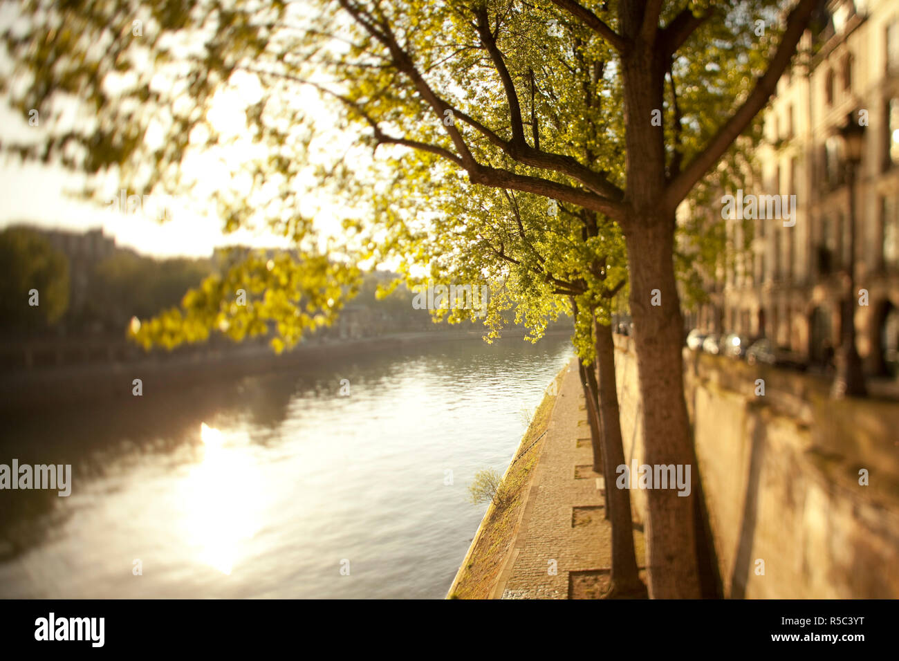 River Seine and Ile St. Louis, Paris, France Stock Photo - Alamy