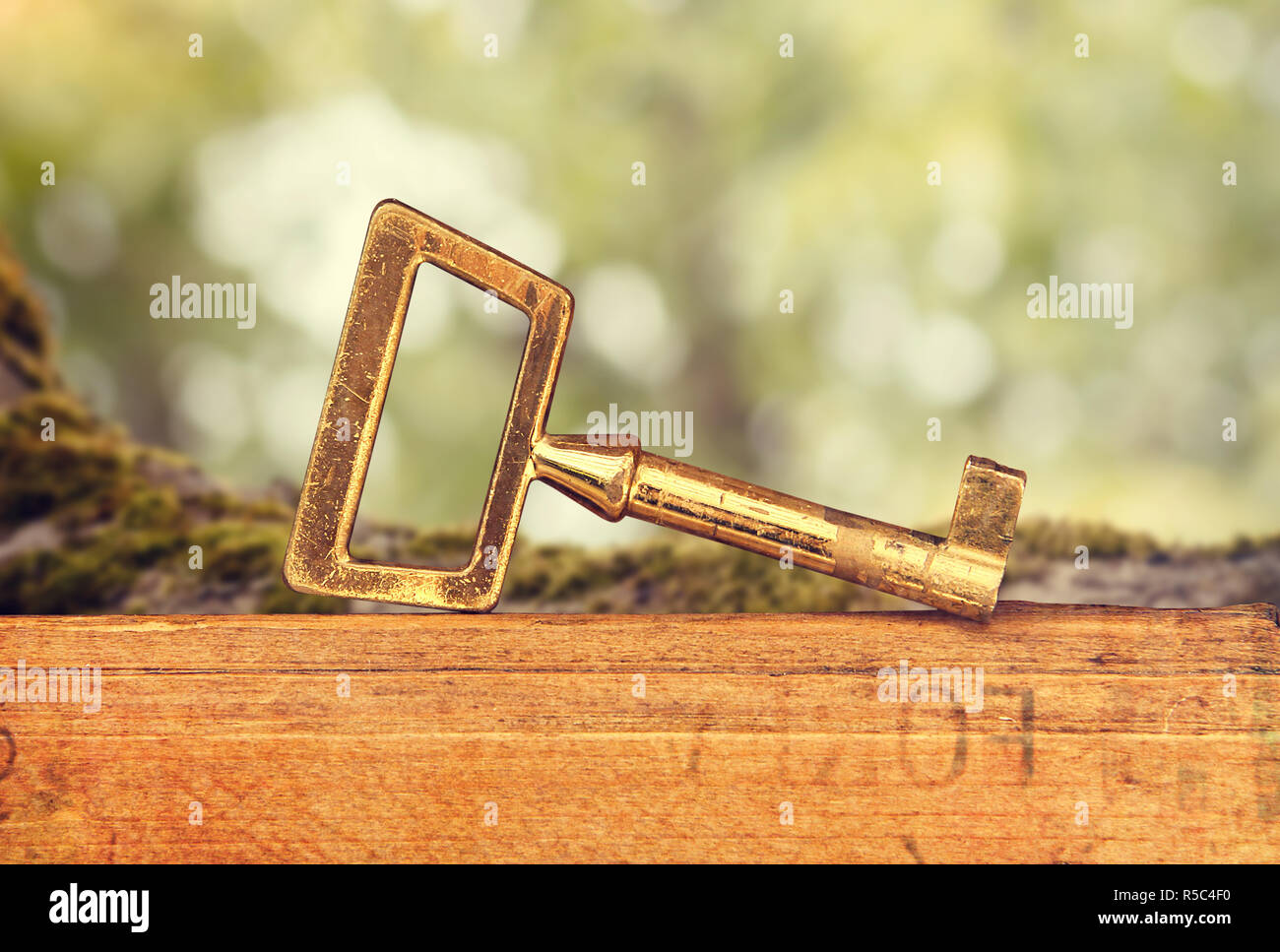 Old chest key standing on wooden desk in the nature. Blurred forest and ...