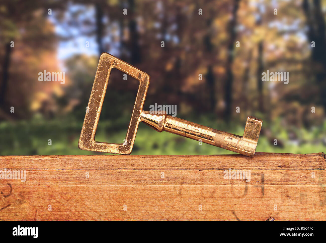 Old chest key standing on wooden desk in the nature. Blurred forest and ...