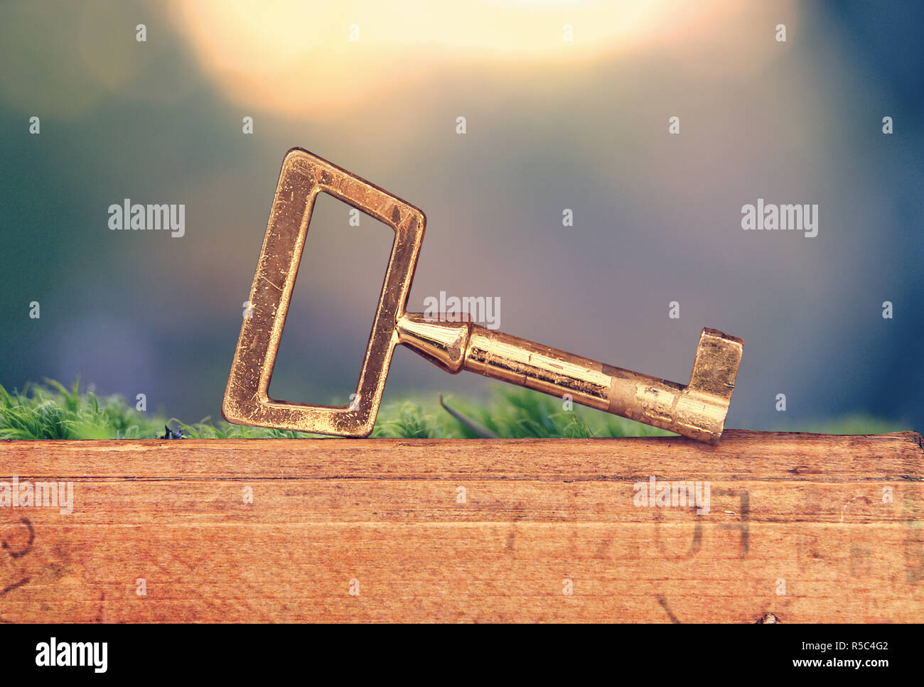 Old chest key standing on wooden desk in the nature. Blurred forest and ...
