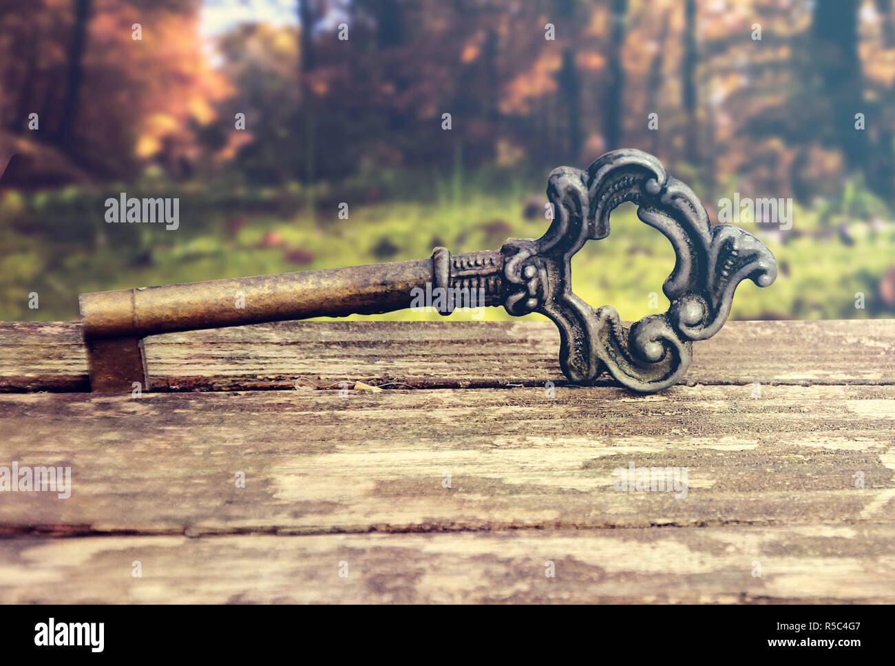 Old ancient key standing on a retro wood, retro forest background with ...