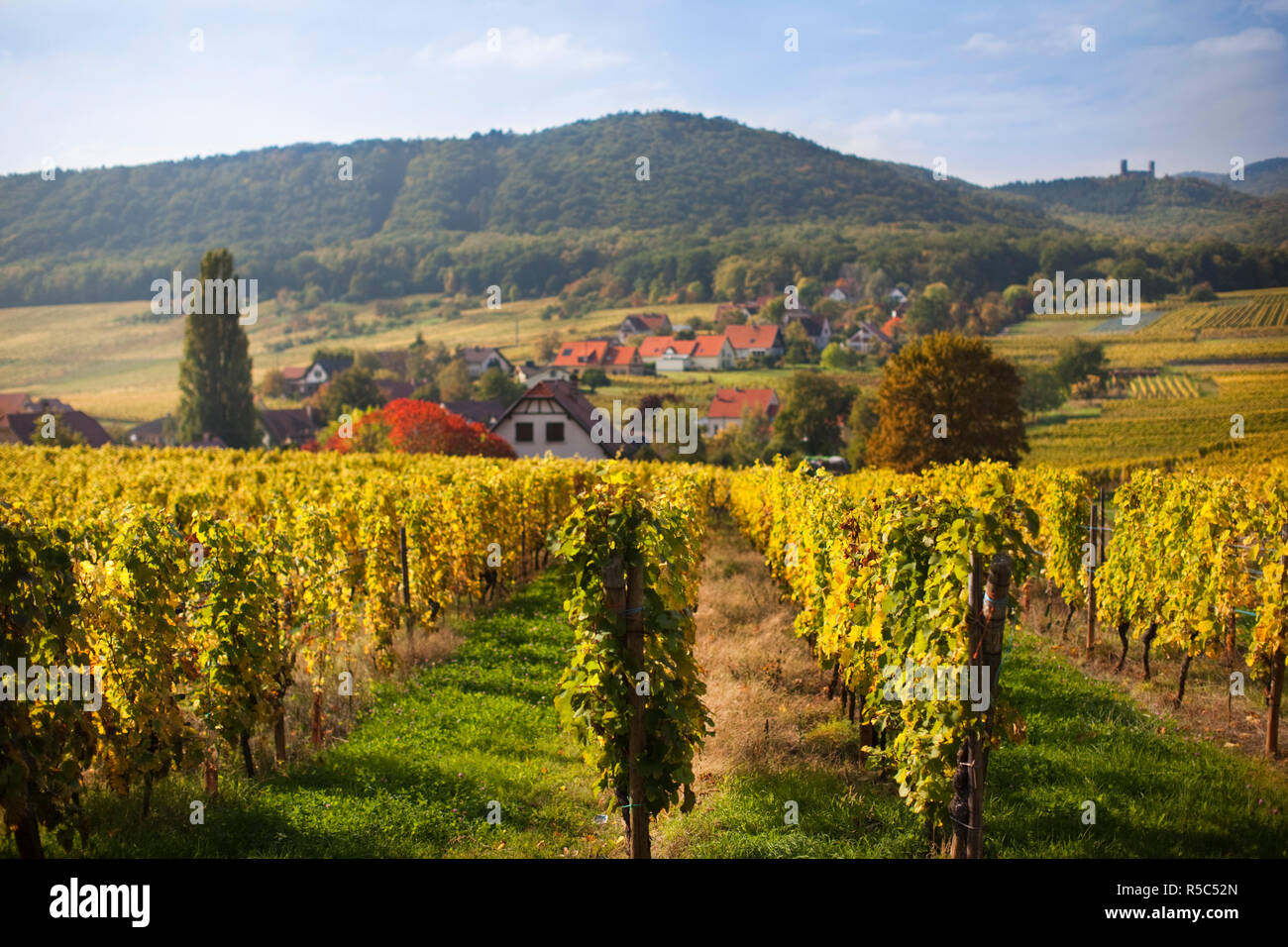 Alsace region hi-res stock photography and images - Alamy