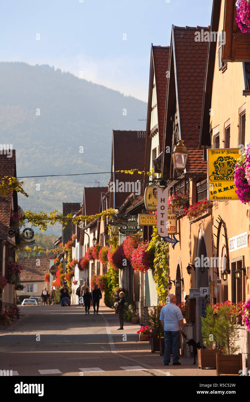 France, Bas-Rhin, Alsace Region, Alasatian Wine Route, Itterswiller ...