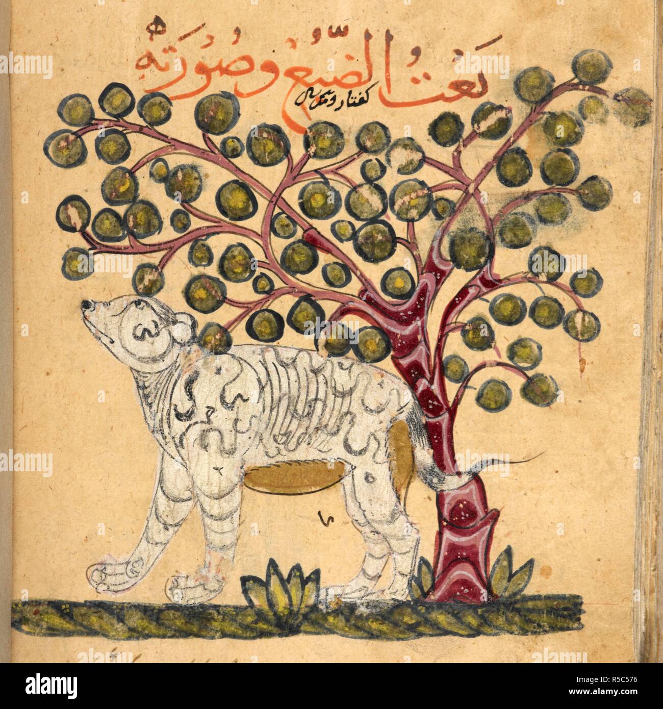 Kitab al hayawan hi-res stock photography and images - Alamy