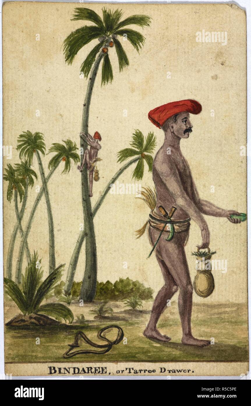 Bindaree hi-res stock photography and images - Alamy