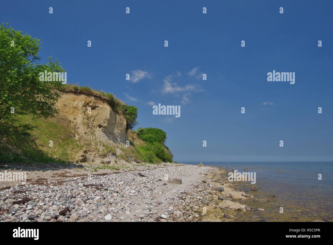demolition coast,baltic sea and natural beach in boltenhagen,district ...