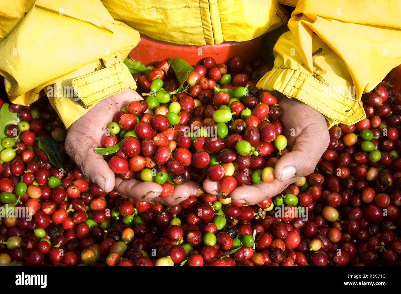 Tarrazu hi-res stock photography and images - Alamy