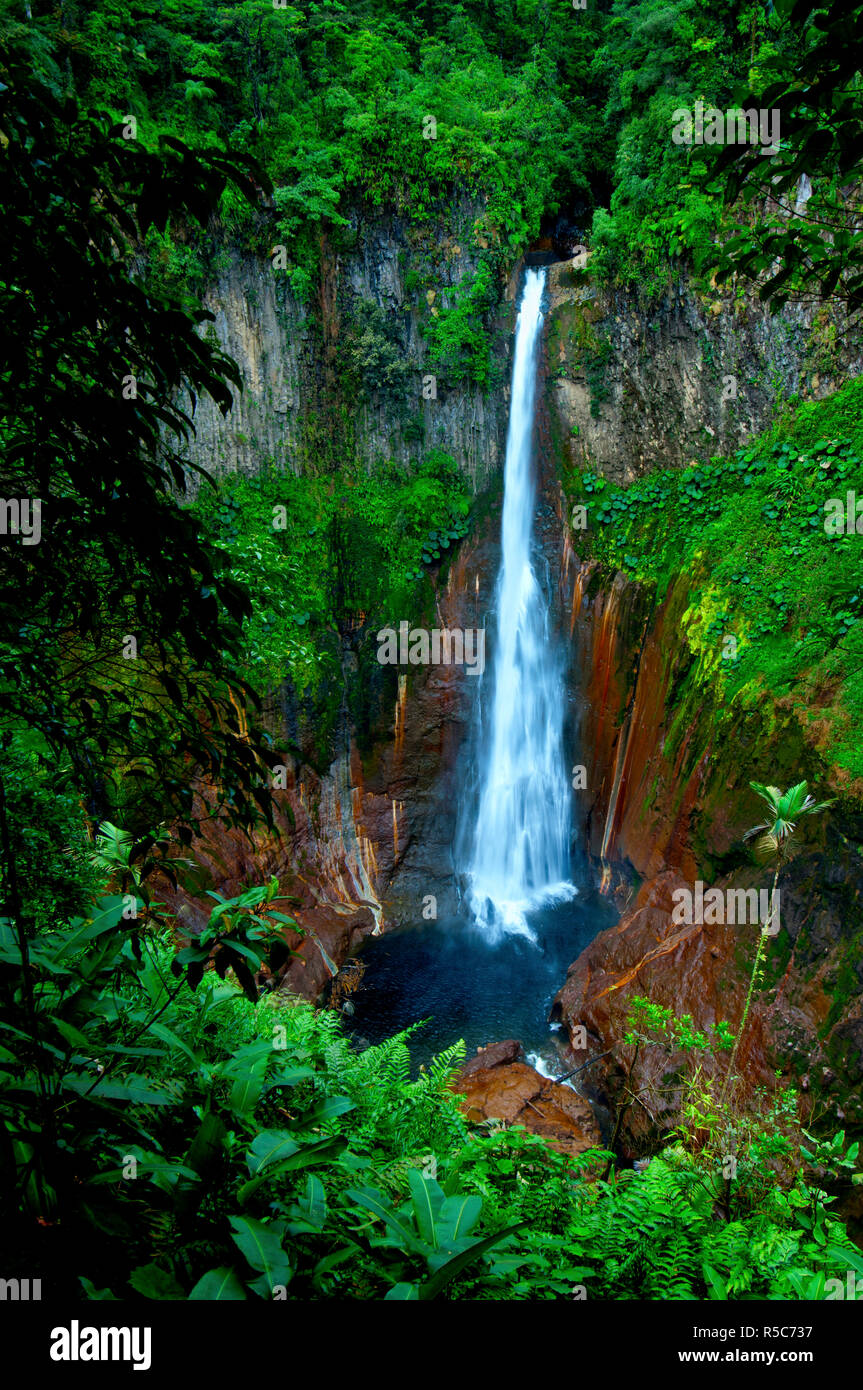 Costa Rica, Bajos del Toro, Cataratas del Toro, Rainforest, Juan Castro ...