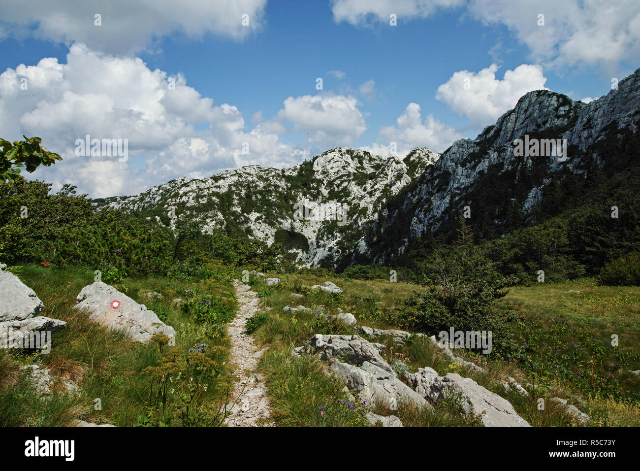 Premuzic mountain trail, Northern Velebit National Park, Croatia Stock ...