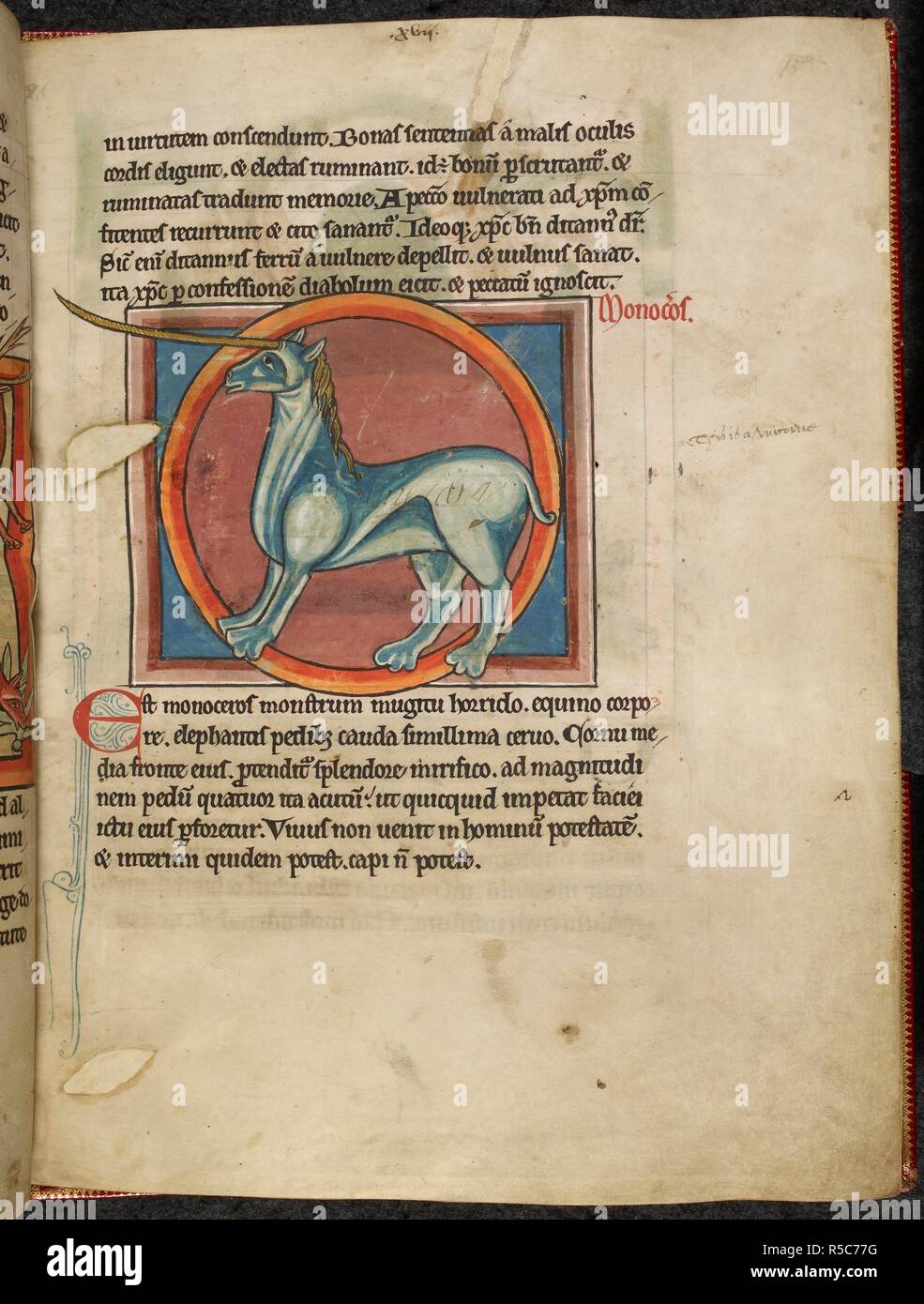 Bestiary manuscript unicorn hi-res stock photography and images - Alamy
