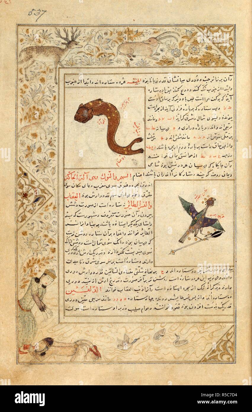 Shada High Resolution Stock Photography and Images - Alamy