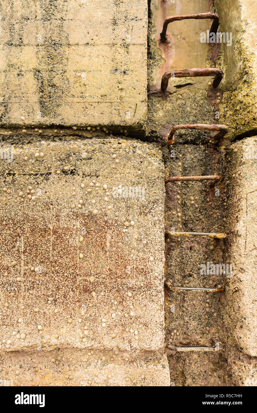 Rusty steps in a harbour wall at low tide at Beadnell, Northumberland ...