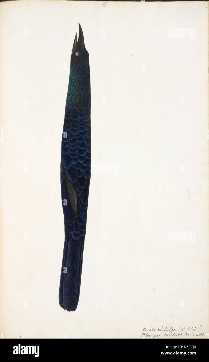 Jobi manucode hi-res stock photography and images - Alamy