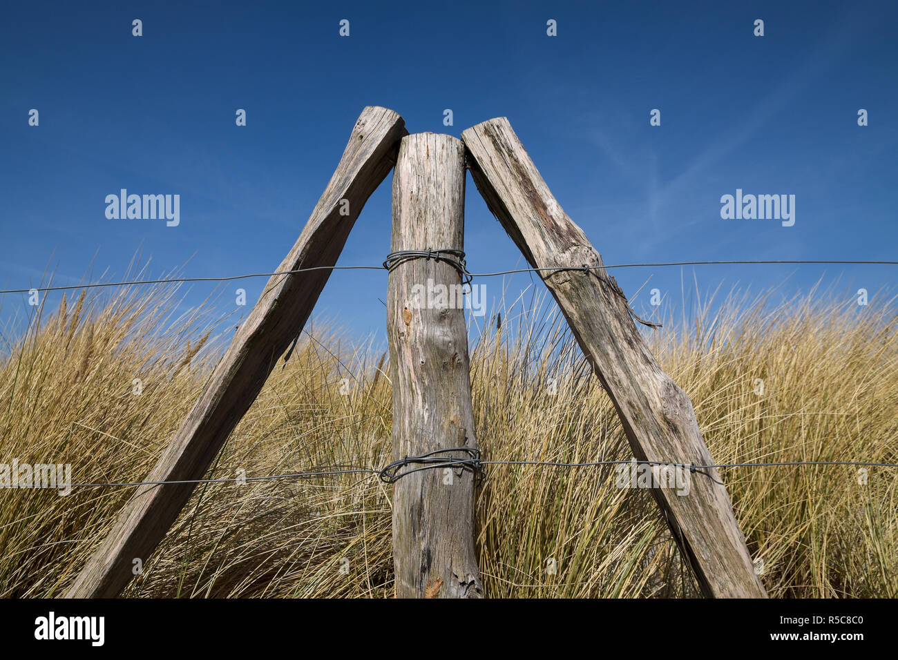 weathered wooden stakes from a fence stand in a triangle in front of ...
