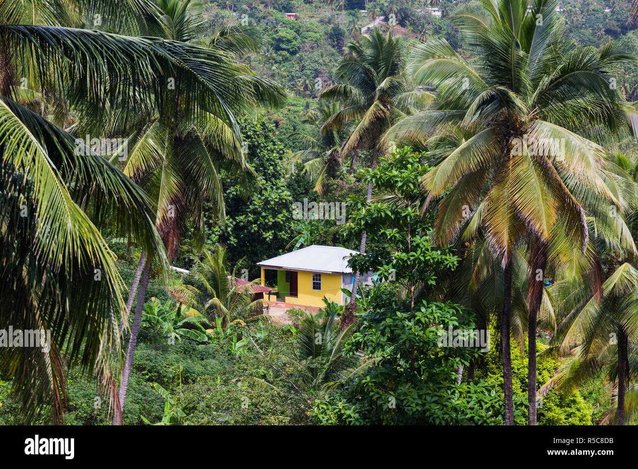 Carib indians hi-res stock photography and images - Alamy