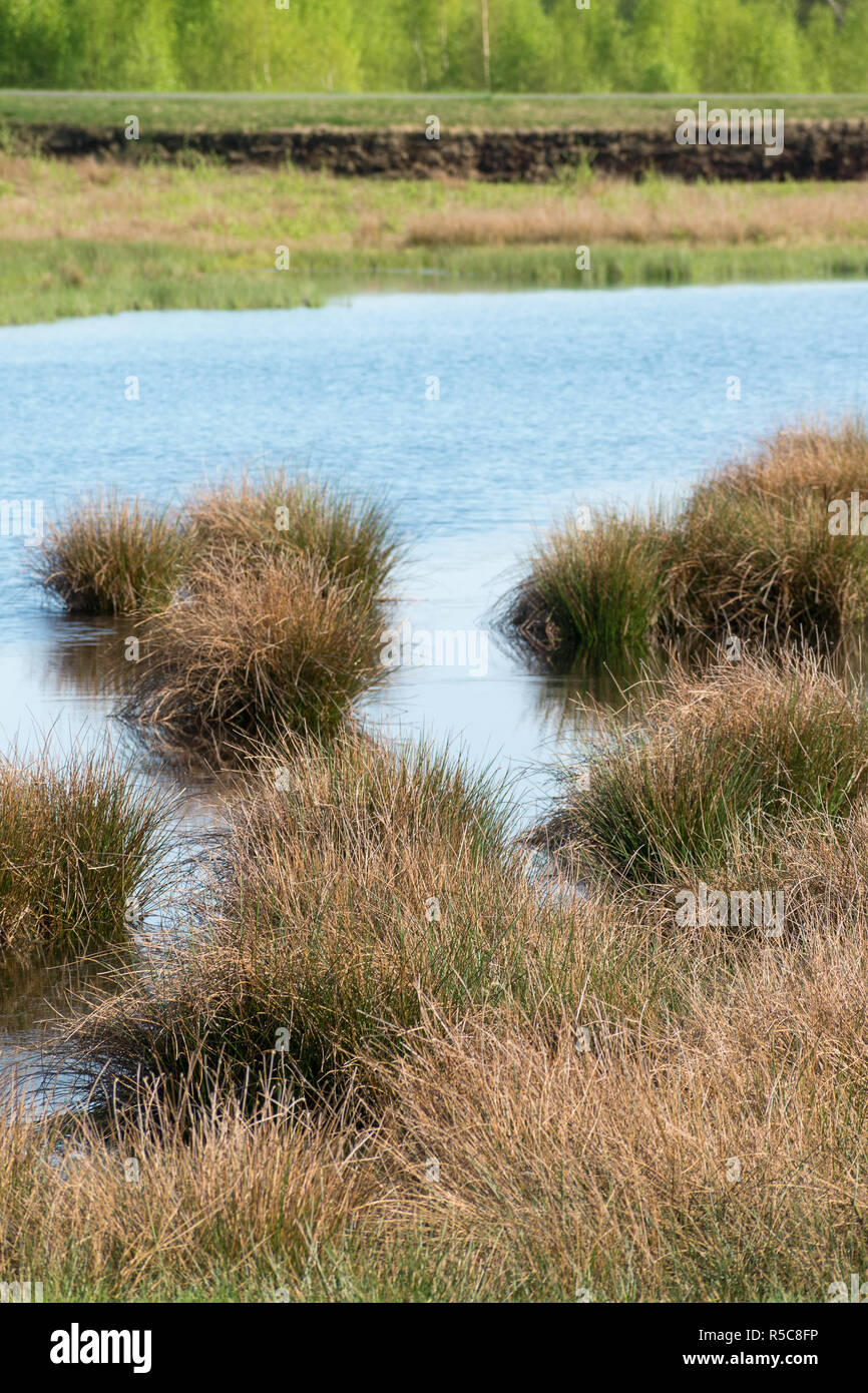 Peat mining area hi-res stock photography and images - Alamy