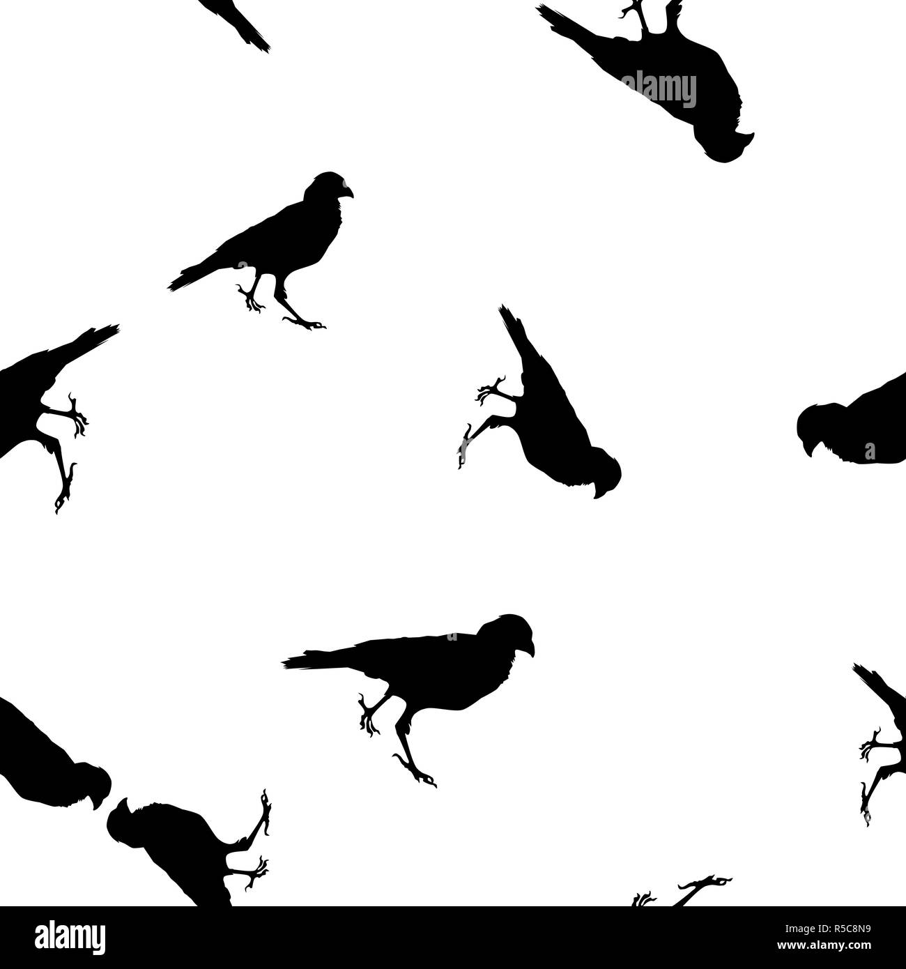 Flying Bird Shadow Black and White Stock Photos & Images - Alamy