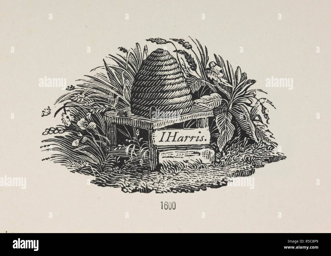 Woodcut of bee hi-res stock photography and images - Alamy