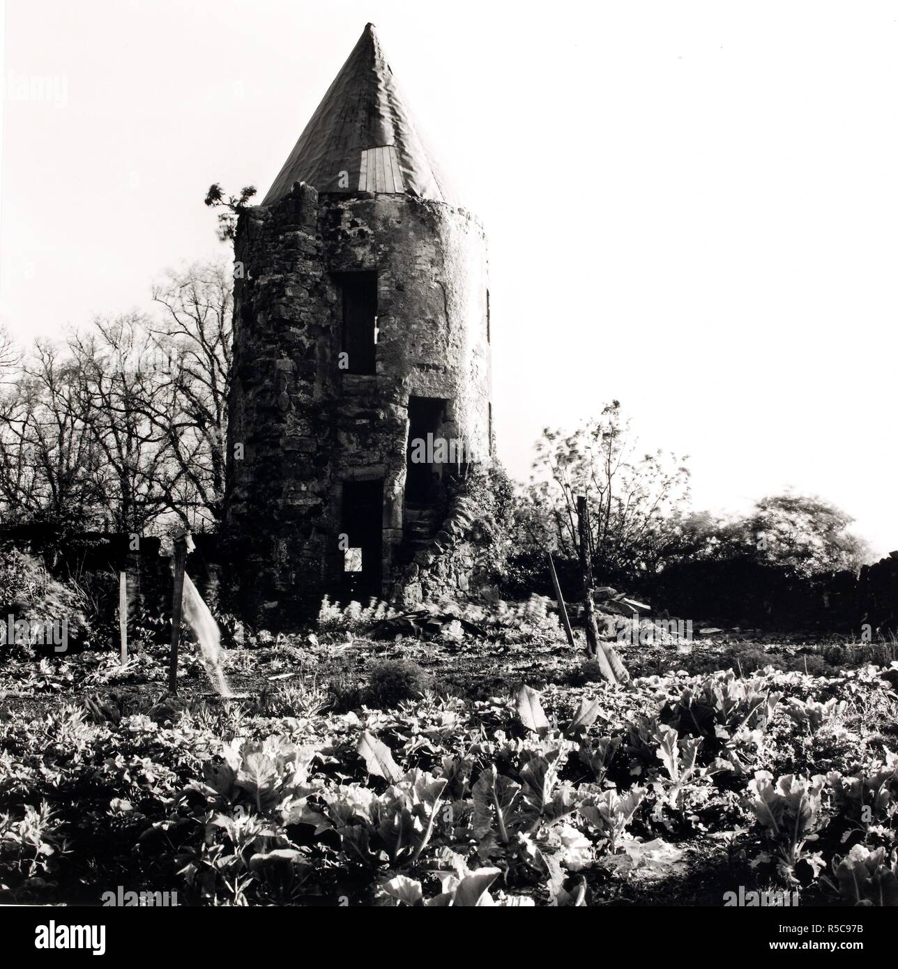 Fay fife hi-res stock photography and images - Alamy