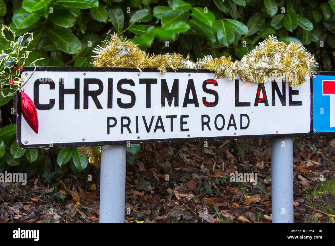 Christmas Lane road sign decorated with baubles, holly and tinsel ...