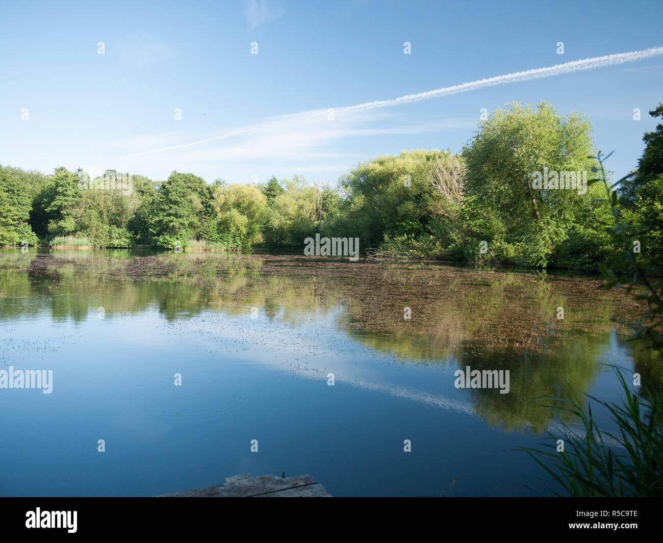 Blue sky clouds river sunny sunshine trees uk water hi-res stock ...