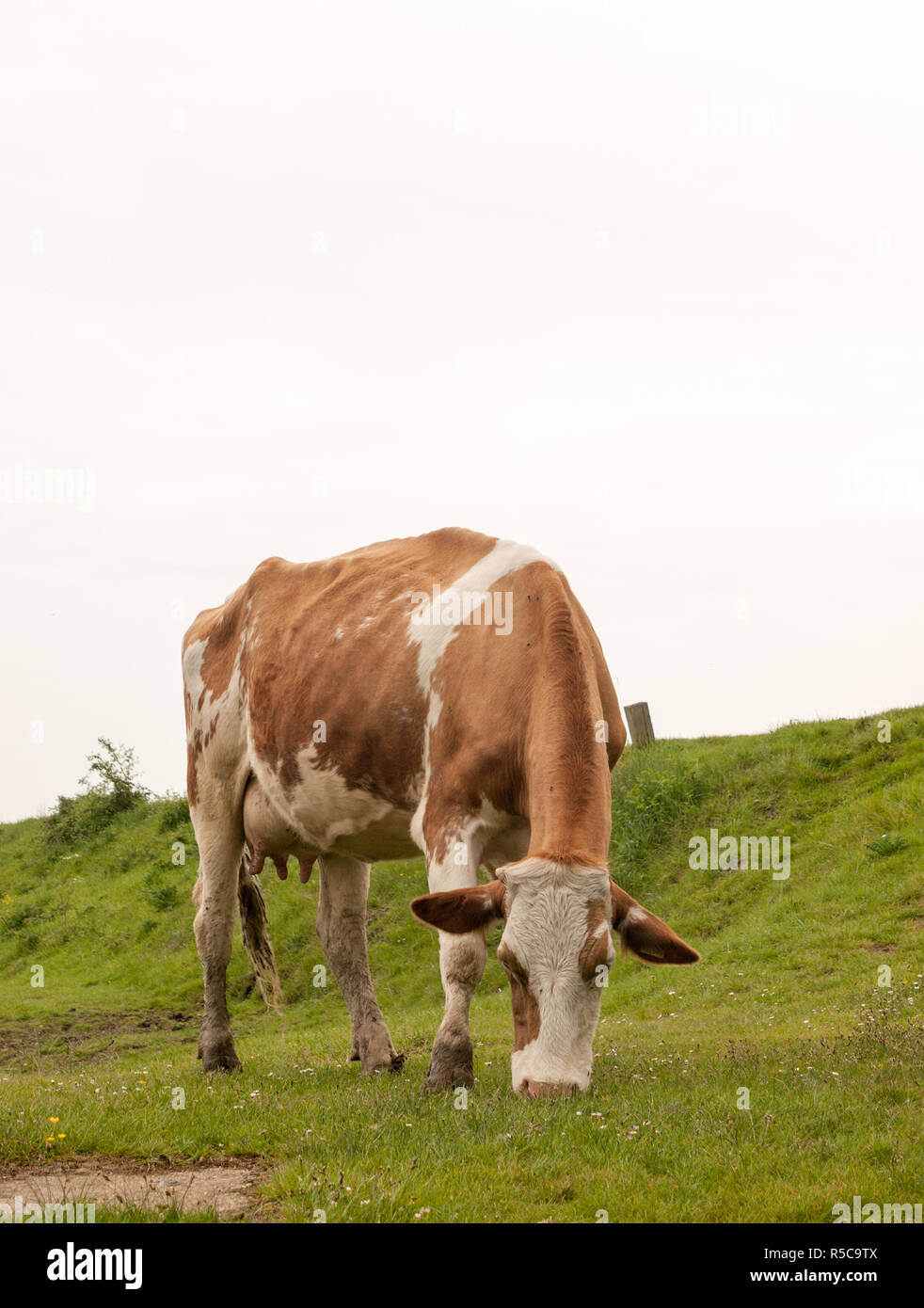 Drab weather hi-res stock photography and images - Alamy