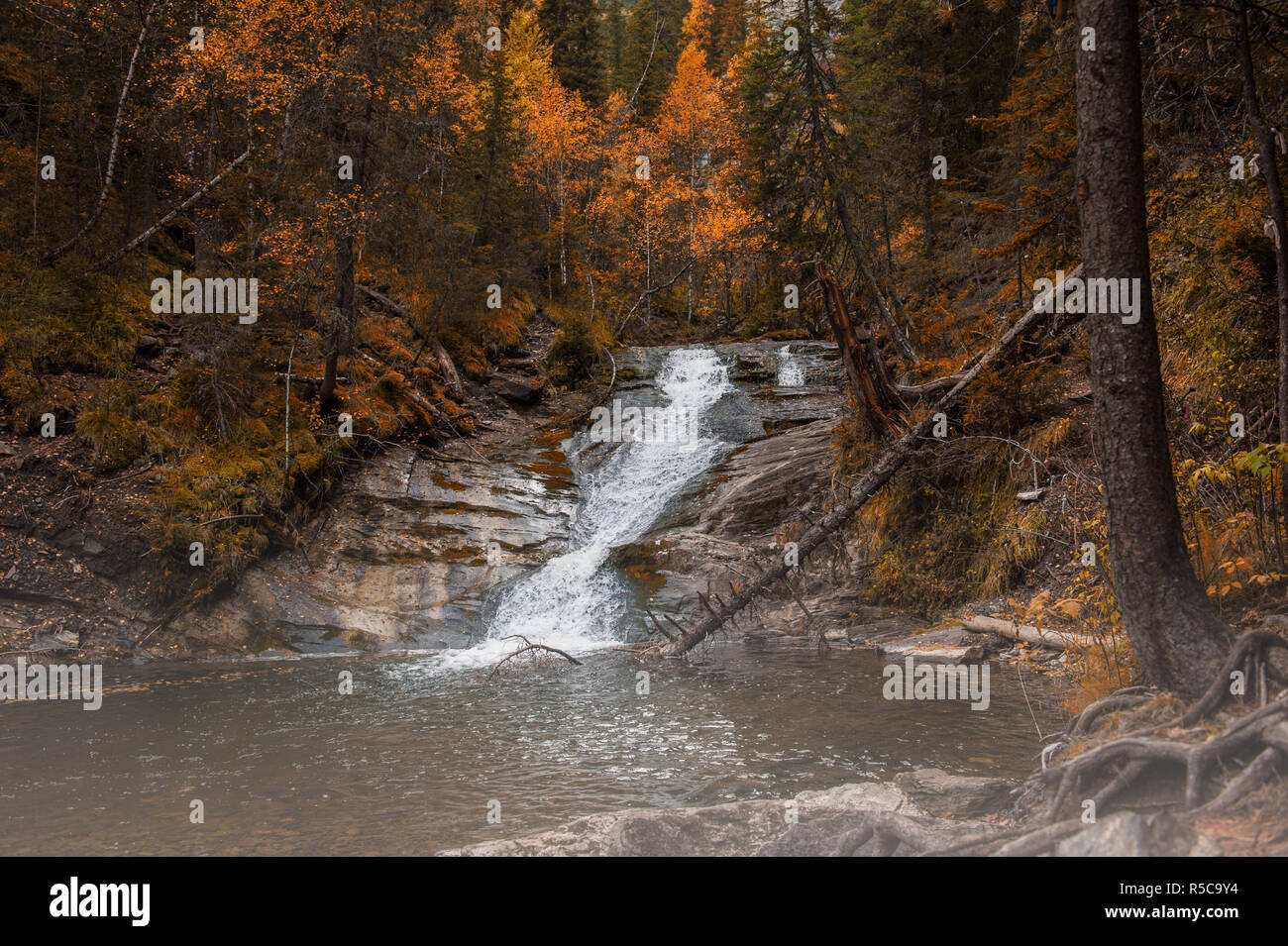 Waterfall on river Shinok Stock Photo - Alamy