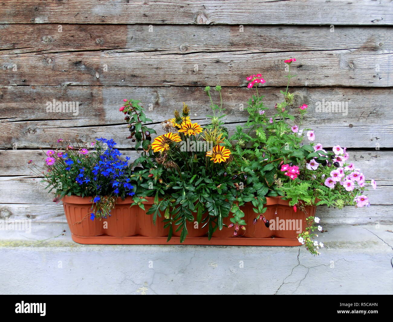 Sulfinie hi-res stock photography and images - Alamy