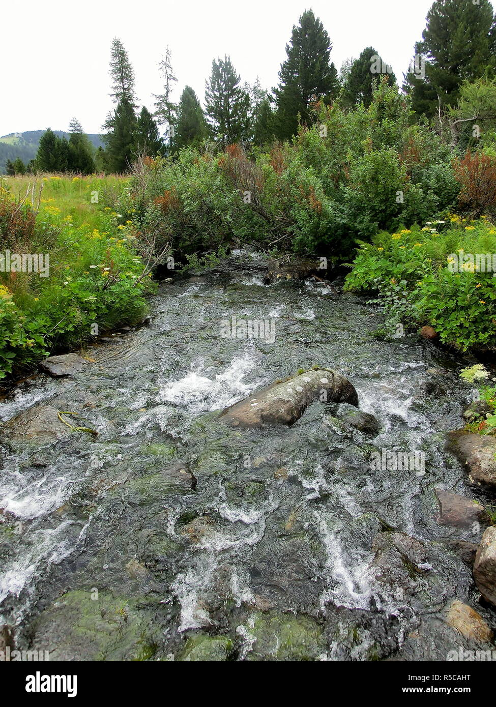 Seetal alps hi-res stock photography and images - Alamy