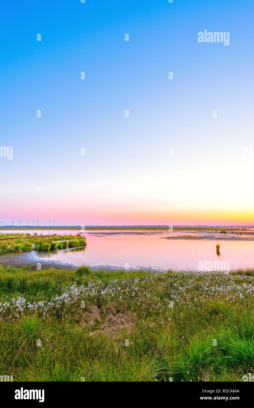 north german moor area Stock Photo - Alamy