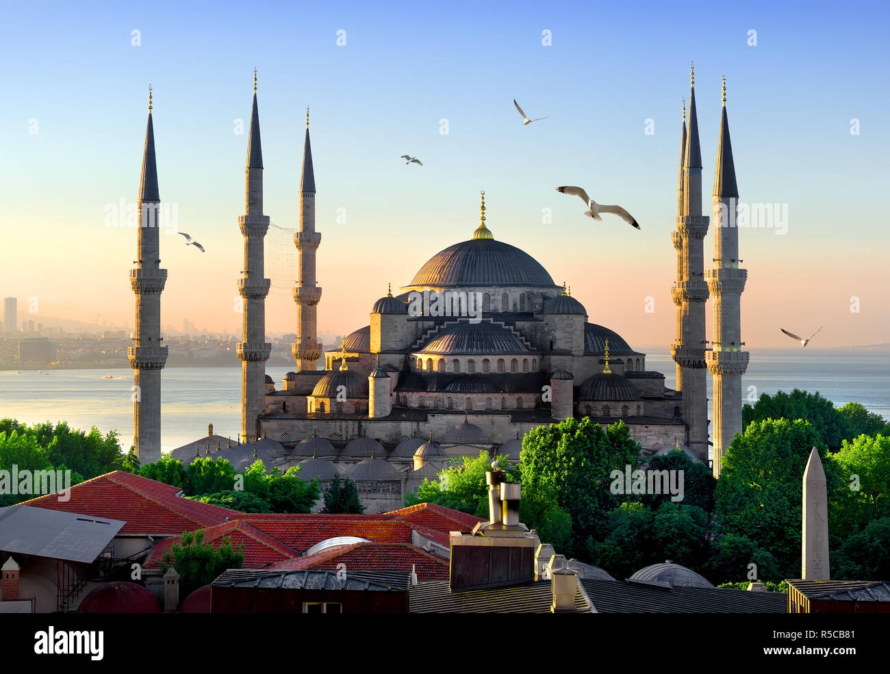 Blue Mosque at sunrise Stock Photo - Alamy