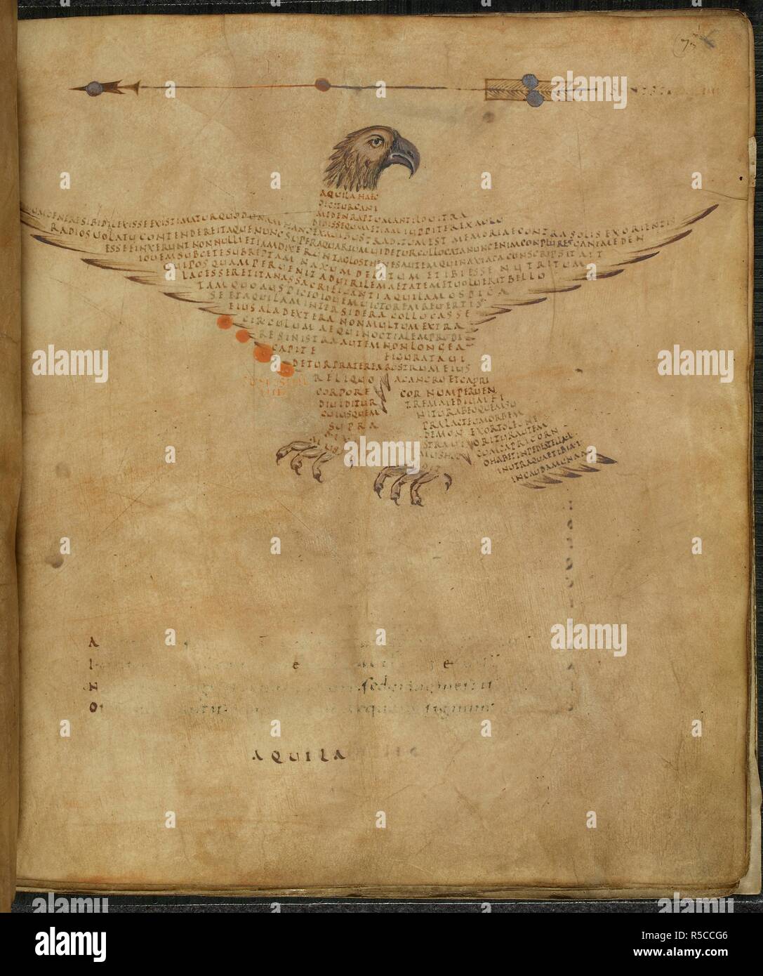 Aquila star system hi-res stock photography and images - Alamy