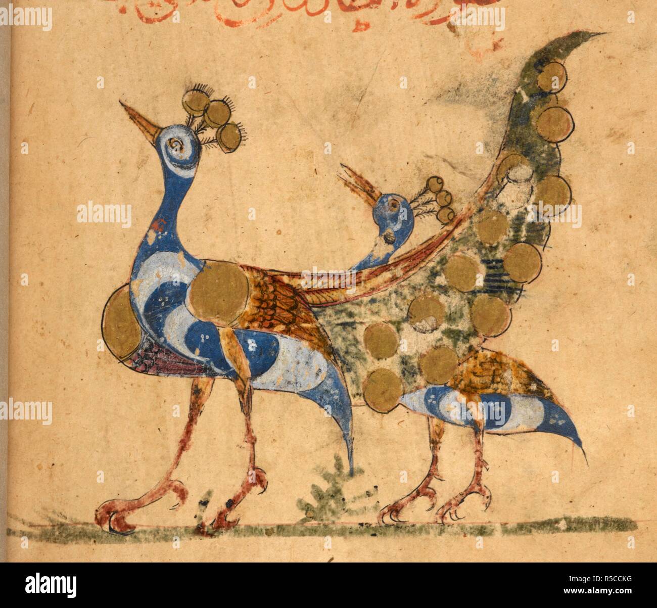 Kitab al hayawan hi-res stock photography and images - Alamy