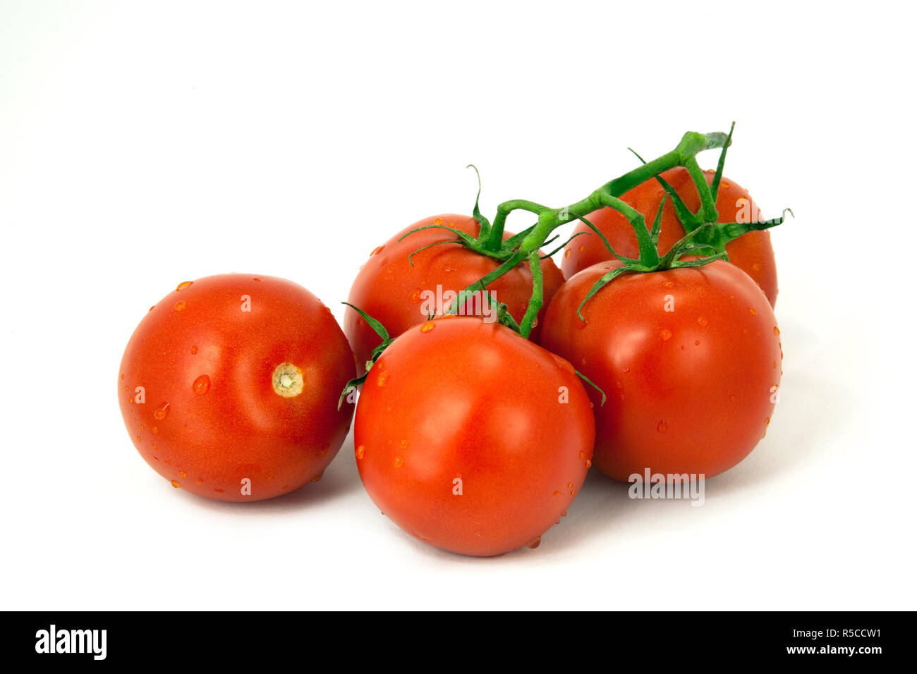 Tomatoes on the vine Stock Photo - Alamy