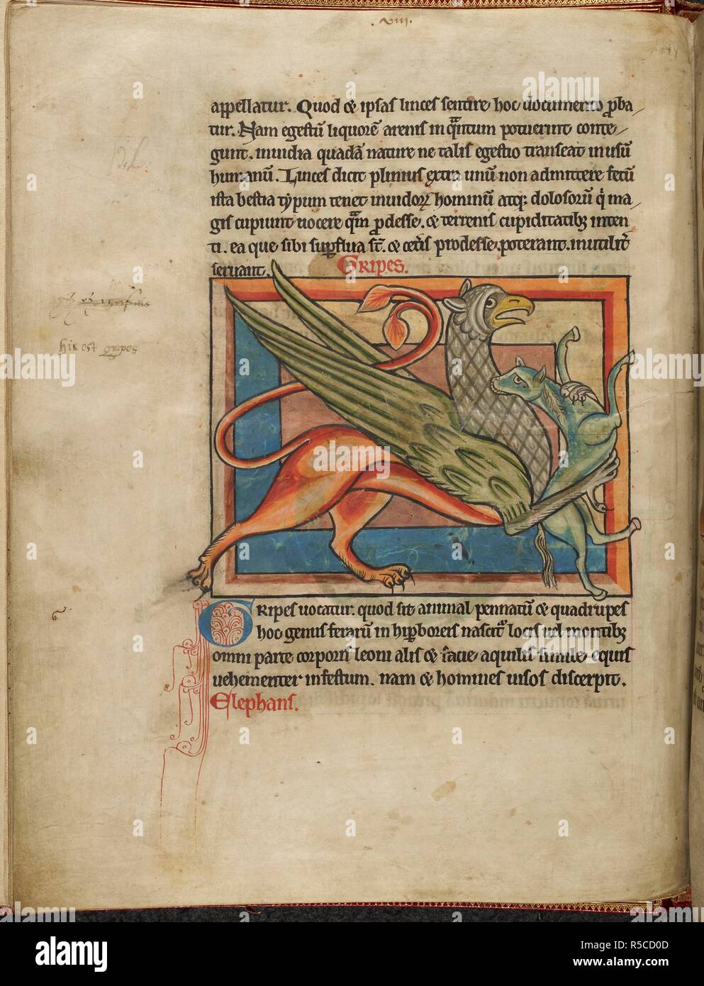 Bestiary lion hi-res stock photography and images - Alamy