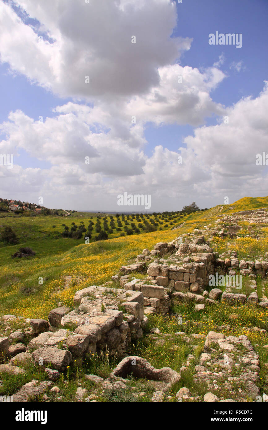 Coastal plain israel hi-res stock photography and images - Alamy