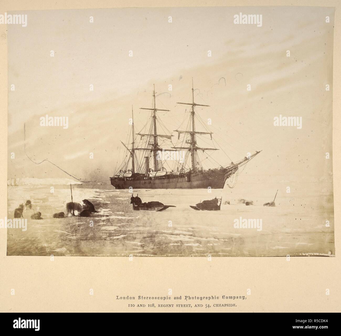 Native sledges and dogs. The sailing ship â€˜Discoveryâ€™ moored to the ...