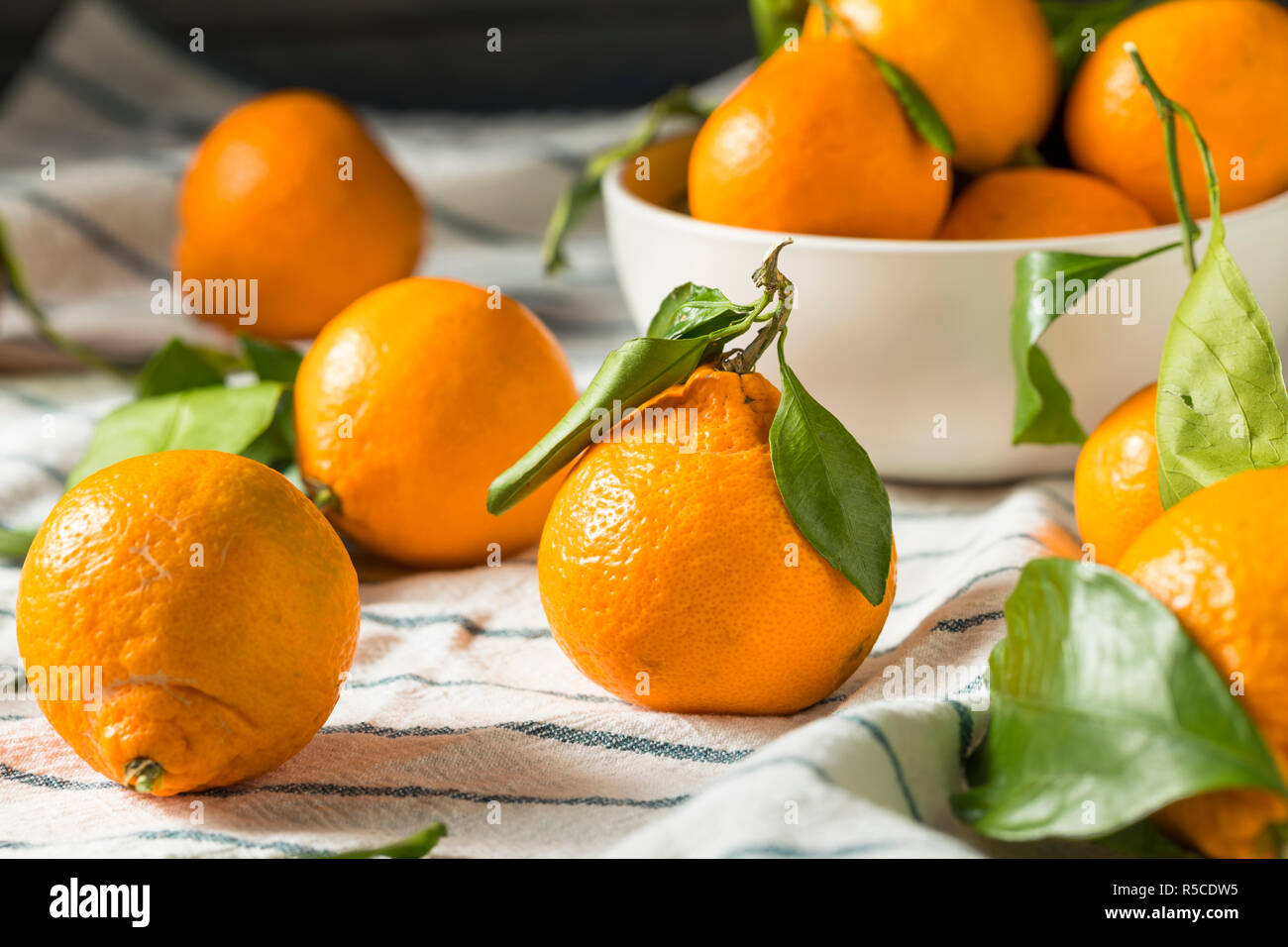 Raw Organic Mandarin Oranges with Green Leaves Stock Photo - Alamy